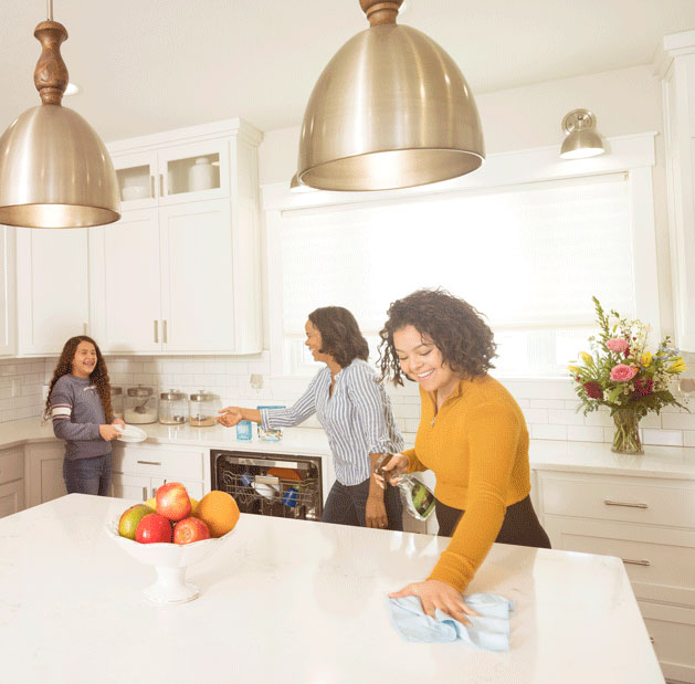 EcoSense Products - Safer For Your Home